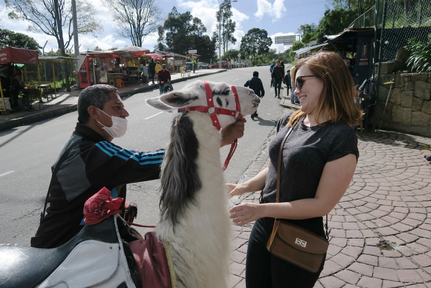 Have you seen the Moonwalking Bear?