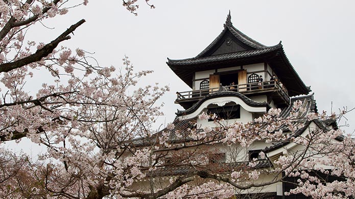5 Things I Wish I Knew Before Moving to Japan